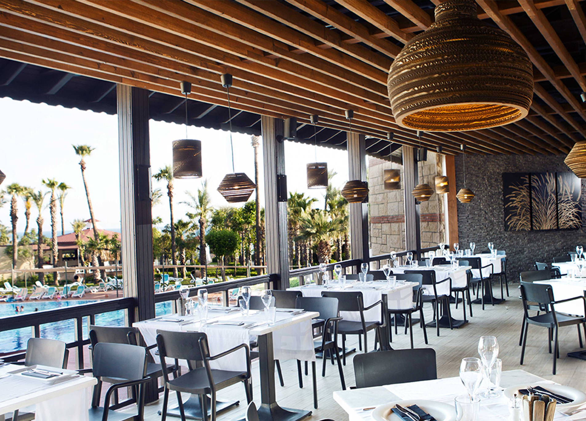 Tastes Of Paloma | Paloma Grida