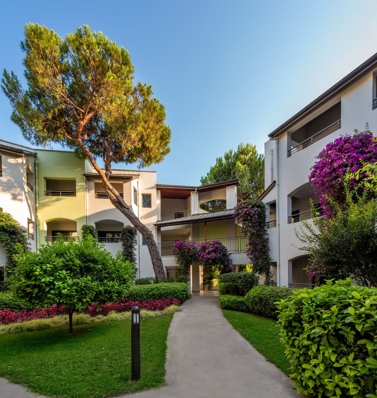 Stay | Paloma Sencia